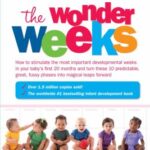 Wonder Weeks - Book Review - Mama's Organized Chaos