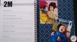 Baby Milestone Book - Mama's Organized Chaos