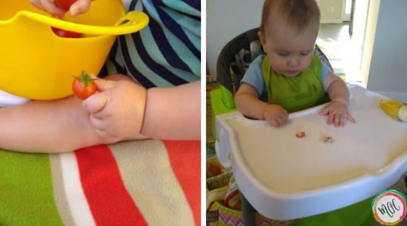 8 Month Old Babywise Schedule (Feedings & Naps) - Mama's Organized Chaos