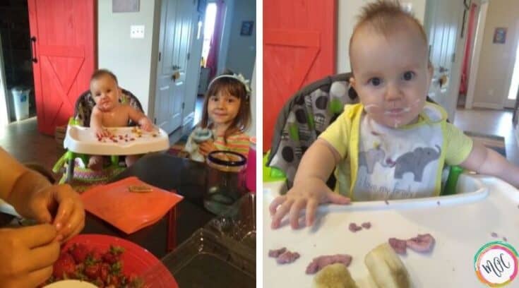 8 Month Old Babywise Schedule (Feedings & Naps) - Mama's Organized Chaos