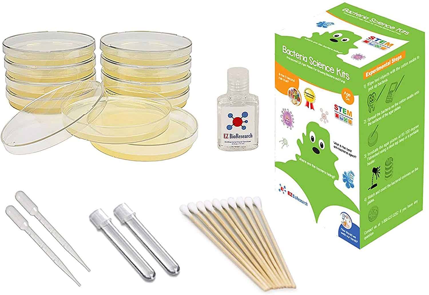 Teaching Children About Germs- Bacteria and Viruses - Mama's Organized ...