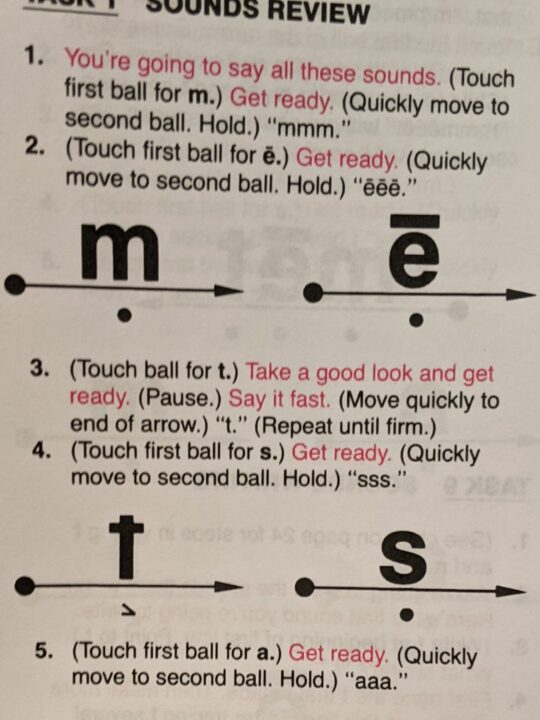 Teach Your Child to Read in 100 Easy Lessons - Mama's Organized Chaos