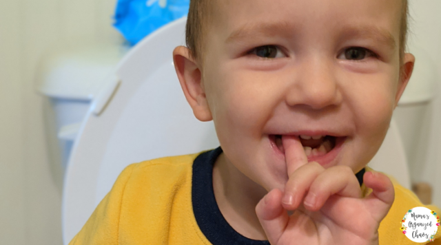 When to Stop Potty Training - Mama's Organized Chaos